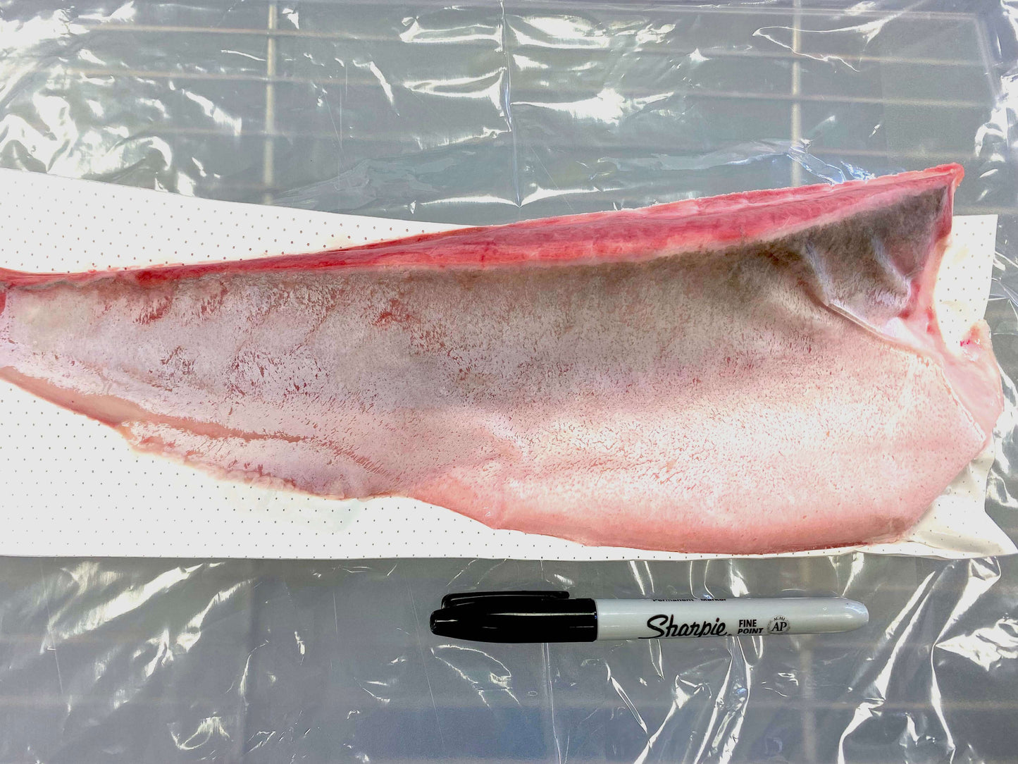 HAMACHI (BURI) FILLET – Blackjack Foods