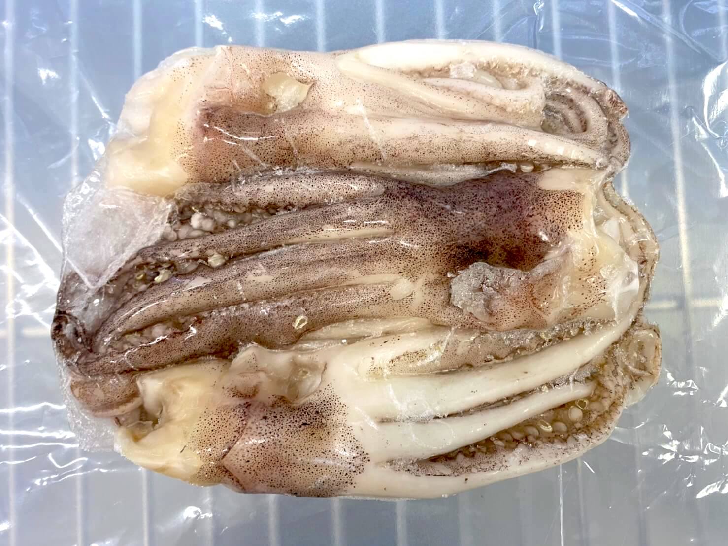 SQUID TENTACLES – Blackjack Foods