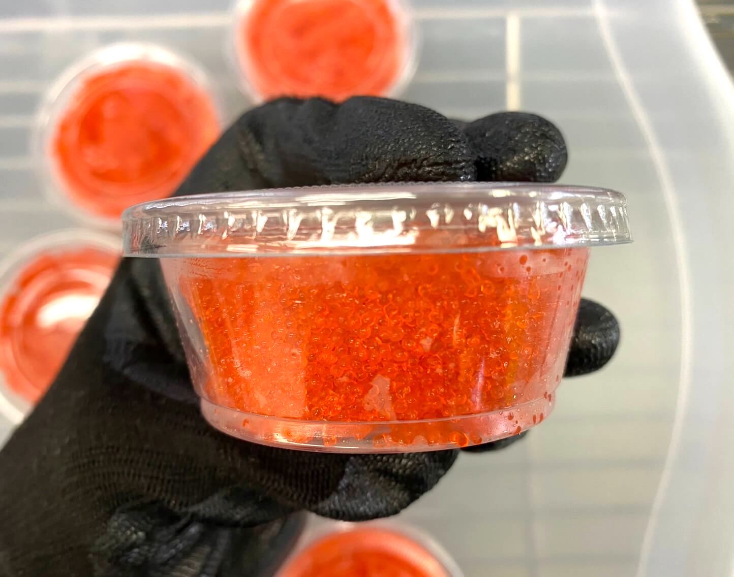 TOBIKO – BLACKJACK FOODS