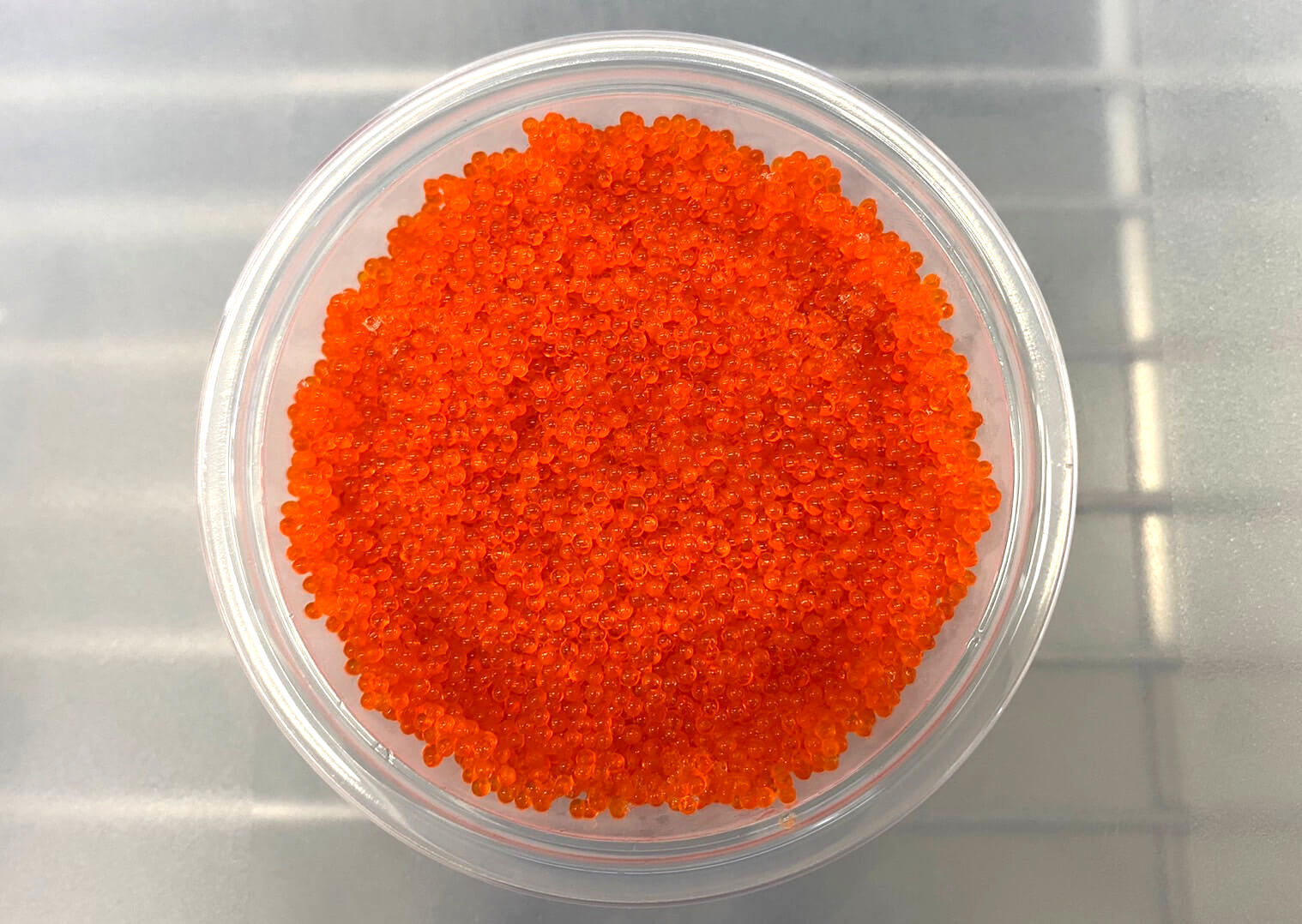 TOBIKO – Blackjack Foods